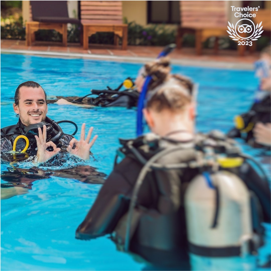 Bucea por primera vez - Caneo Divers